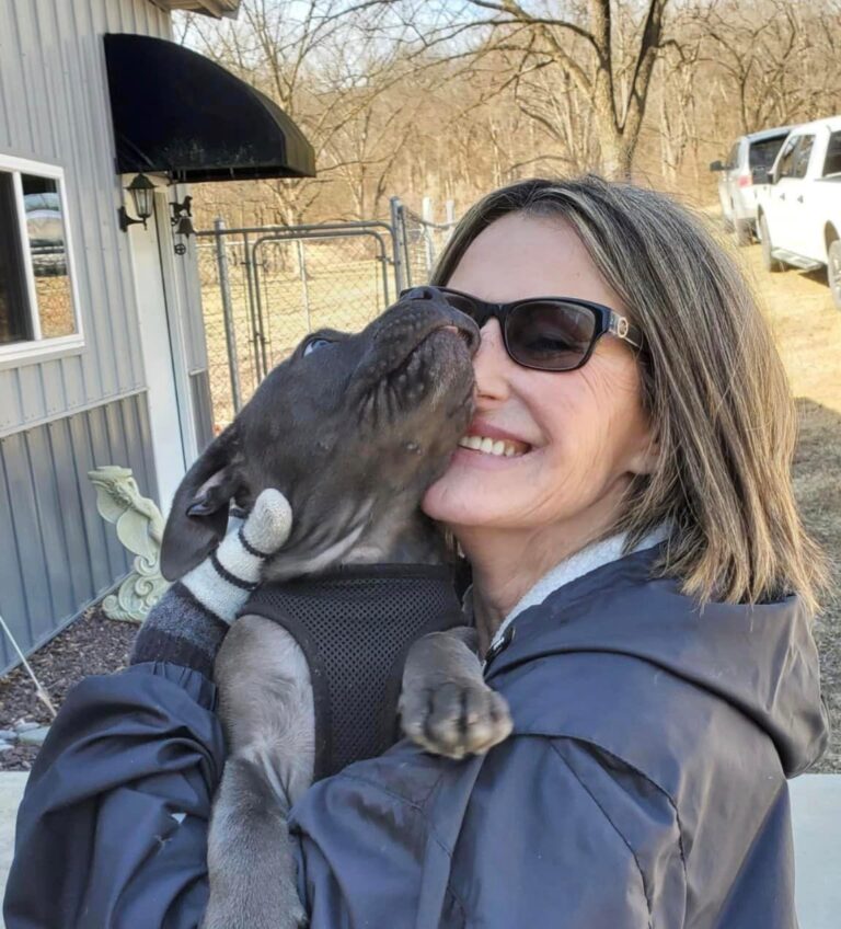 Volunteer With Us – Diamonds in the Ruff Rescue MO